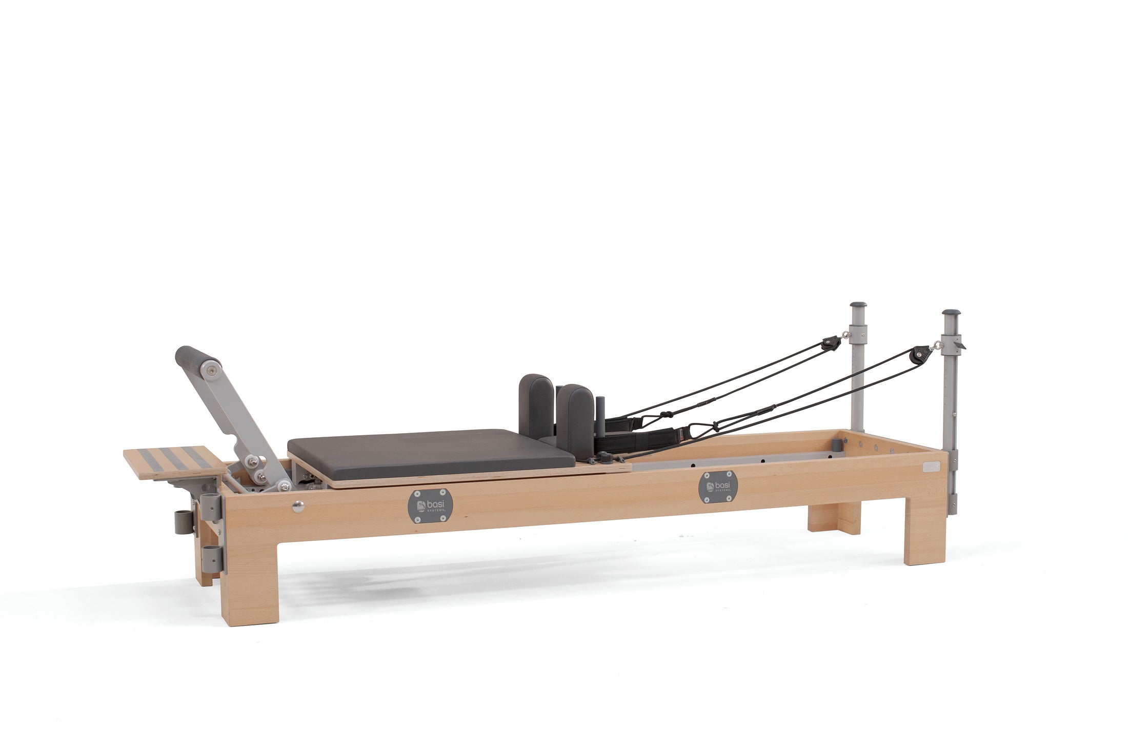 Compact Reformer – BASI Systems
