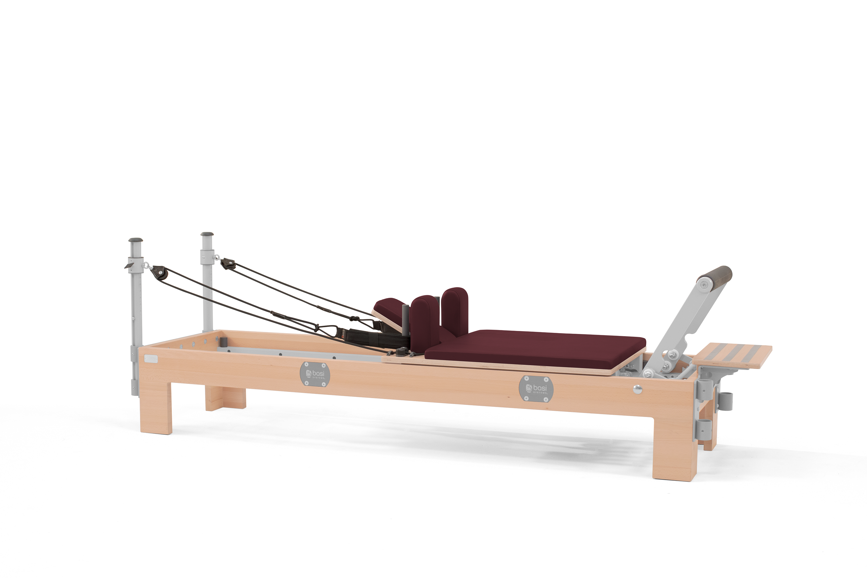 Compact Reformer – BASI Systems