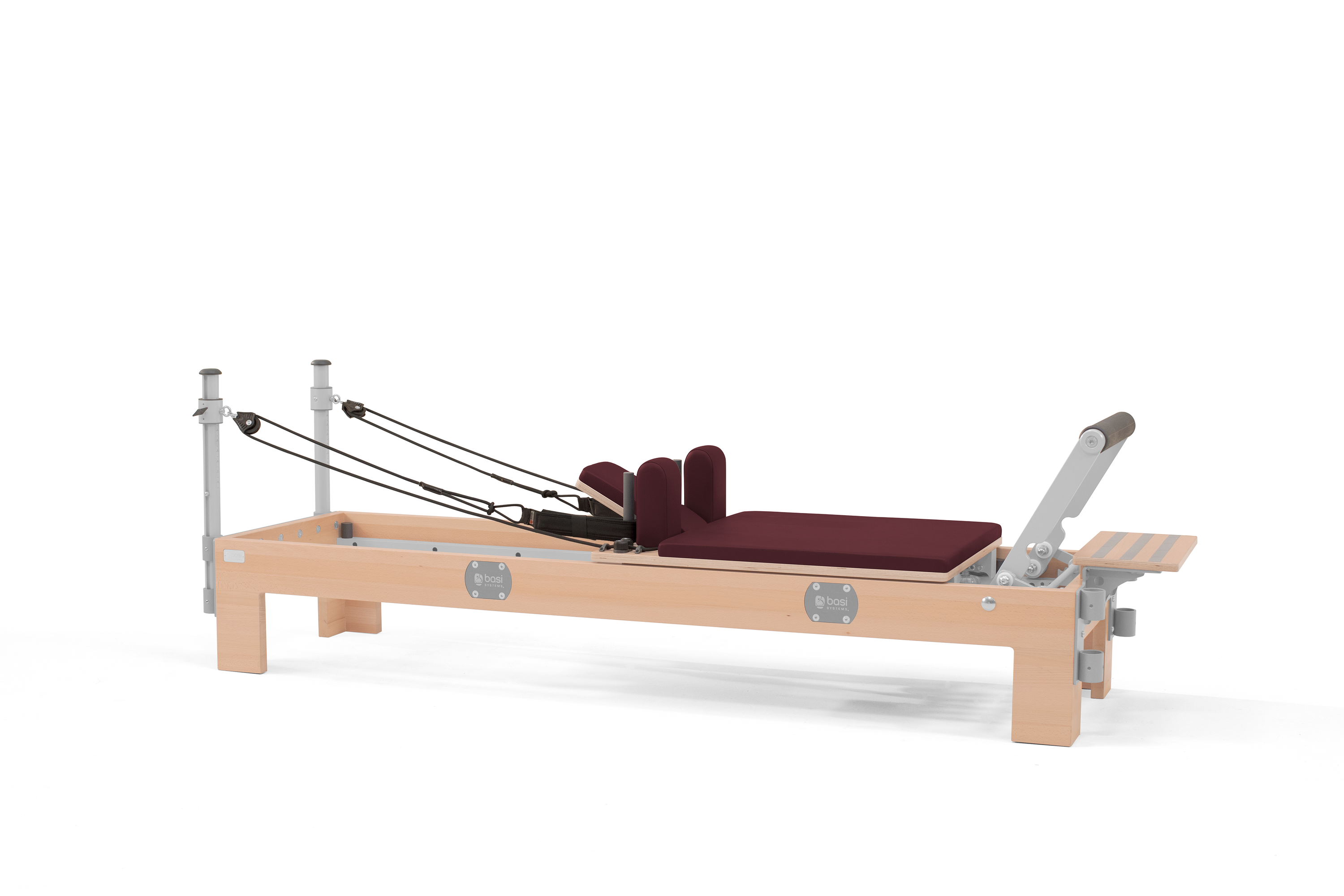 Compact Reformer – BASI Systems