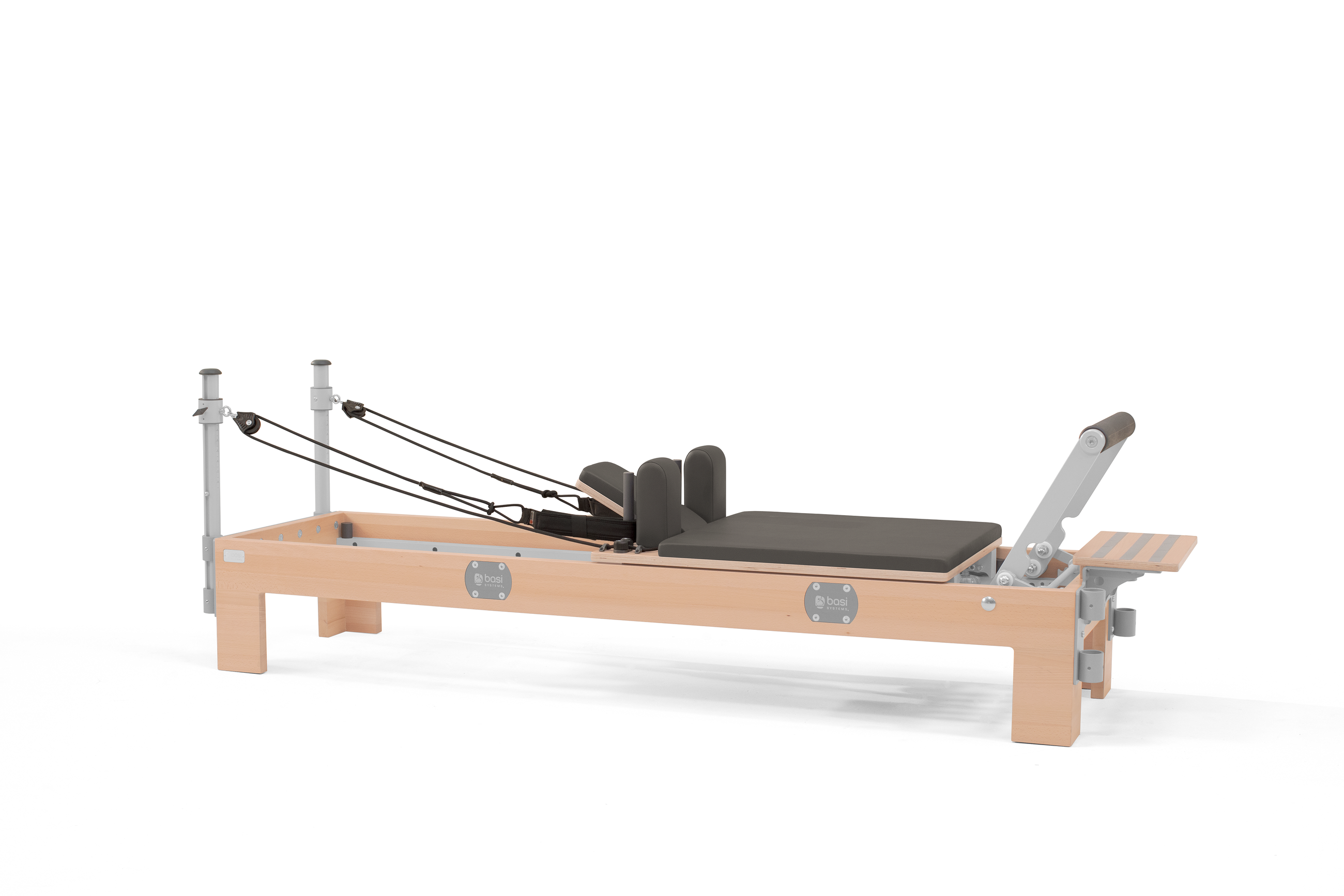Compact Reformer – BASI Systems