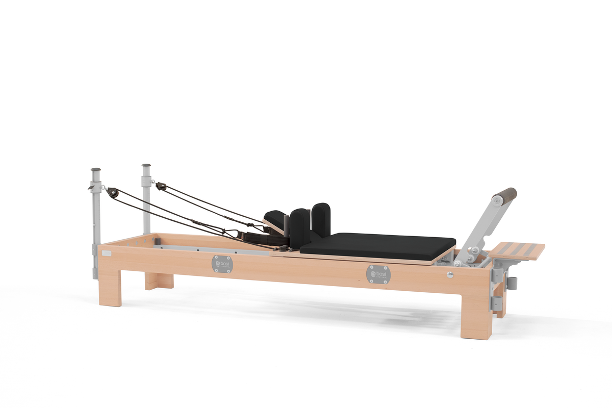 Compact Reformer – BASI Systems